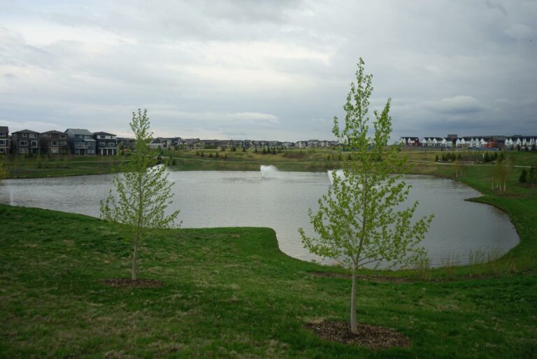 Let's connect through a walk in Livingston Community - Jane's Walk ...