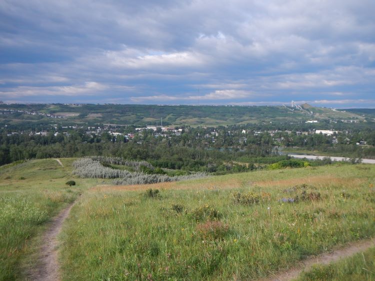 Eyes Down, Mind Open: Archaeology from Bowmont Park - Jane's Walk ...